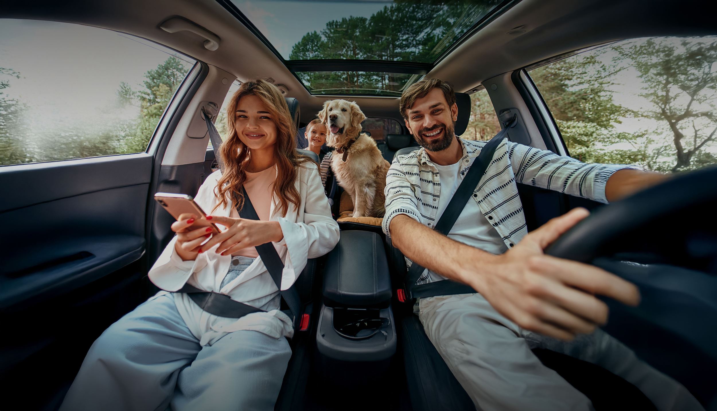 Accueil - Maxiweb sa